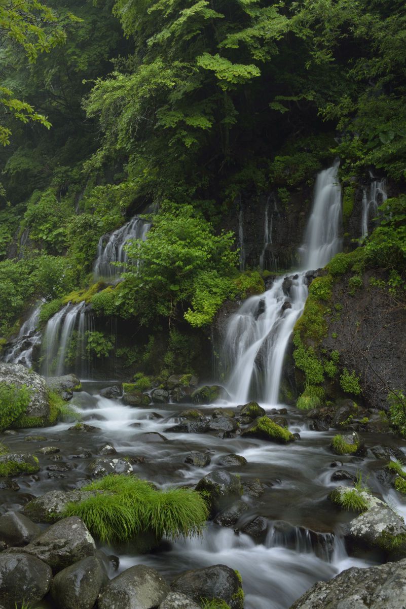 20180615清里吐龍の滝・ク_027.JPG | GANREF