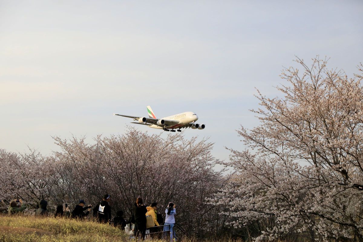 welcome to Japan | GANREF