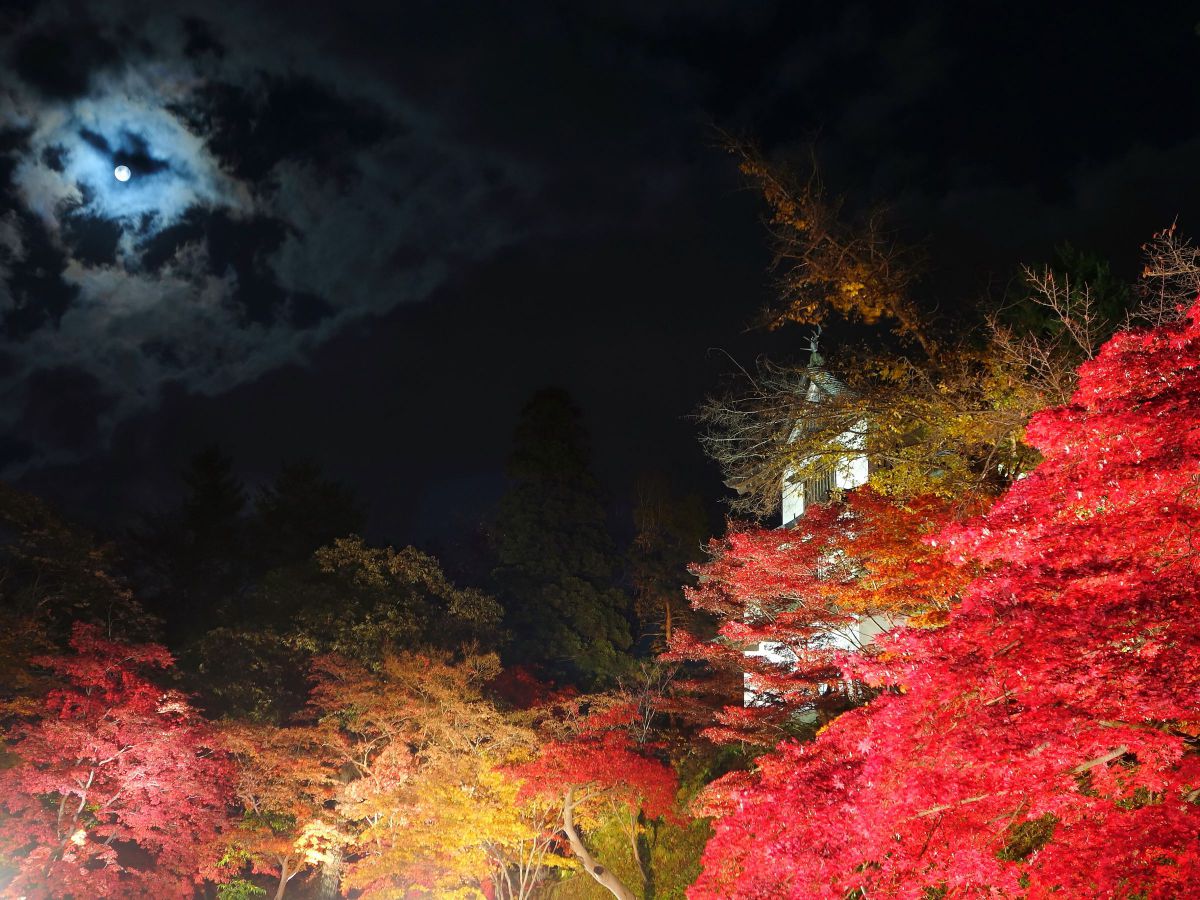 荒城の月っぽい？ | GANREF