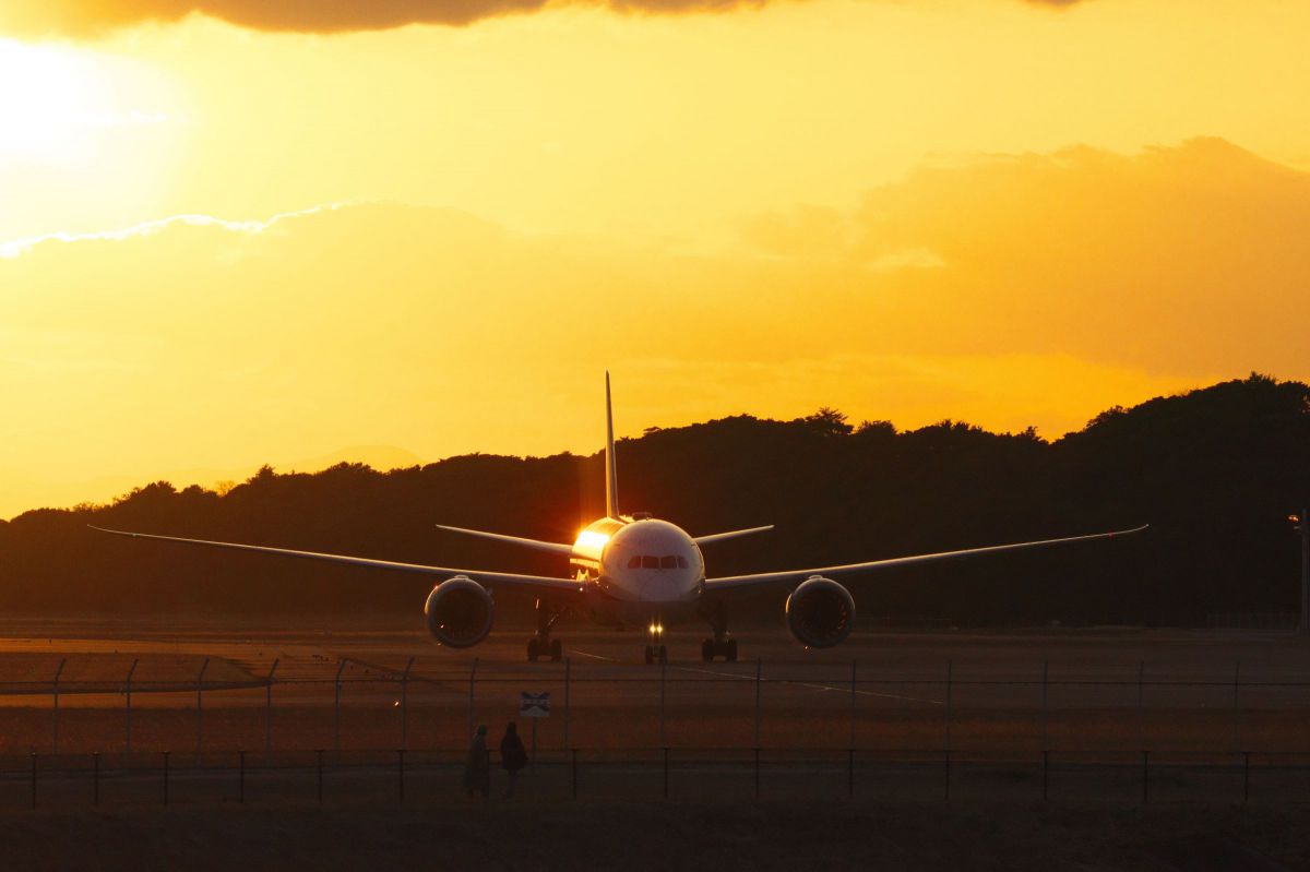 黄金の787 | GANREF