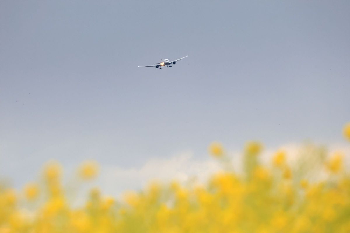 Visual approach Runway 26 | GANREF