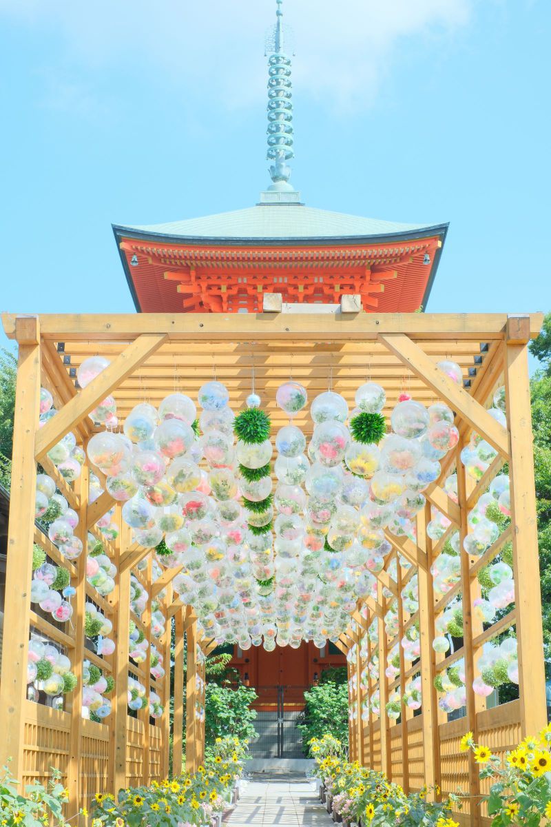 きれいな景色を独り占め | GANREF