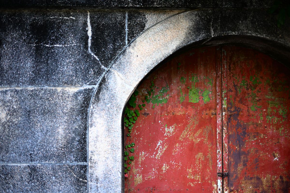 NO-TITLE_SNAPⓈHOTS. #7 | GANREF