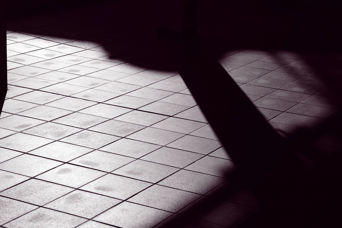 PURPLE SHADOW | GANREF