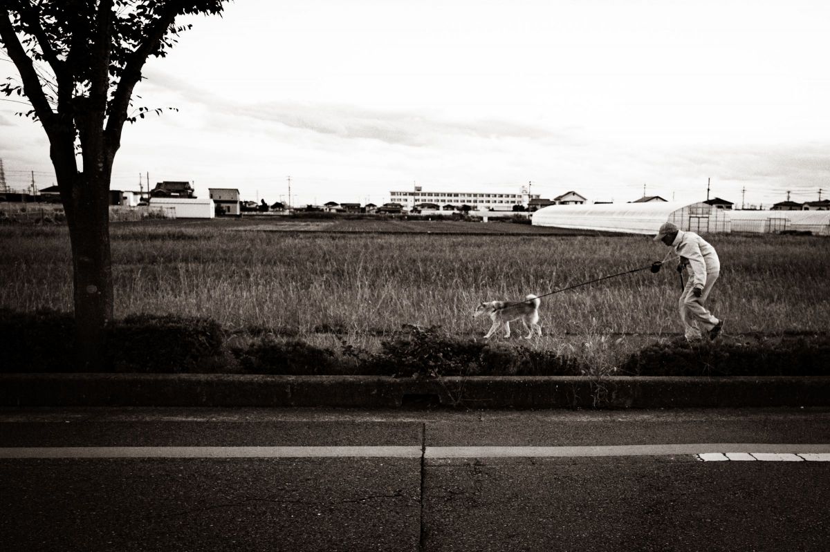 Daily Routine | GANREF