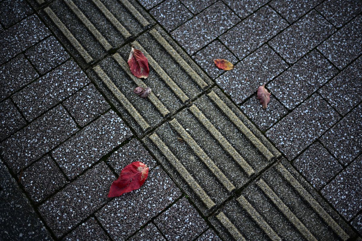 NO-TITLE_SNAPⓈHOTS. #2 | GANREF