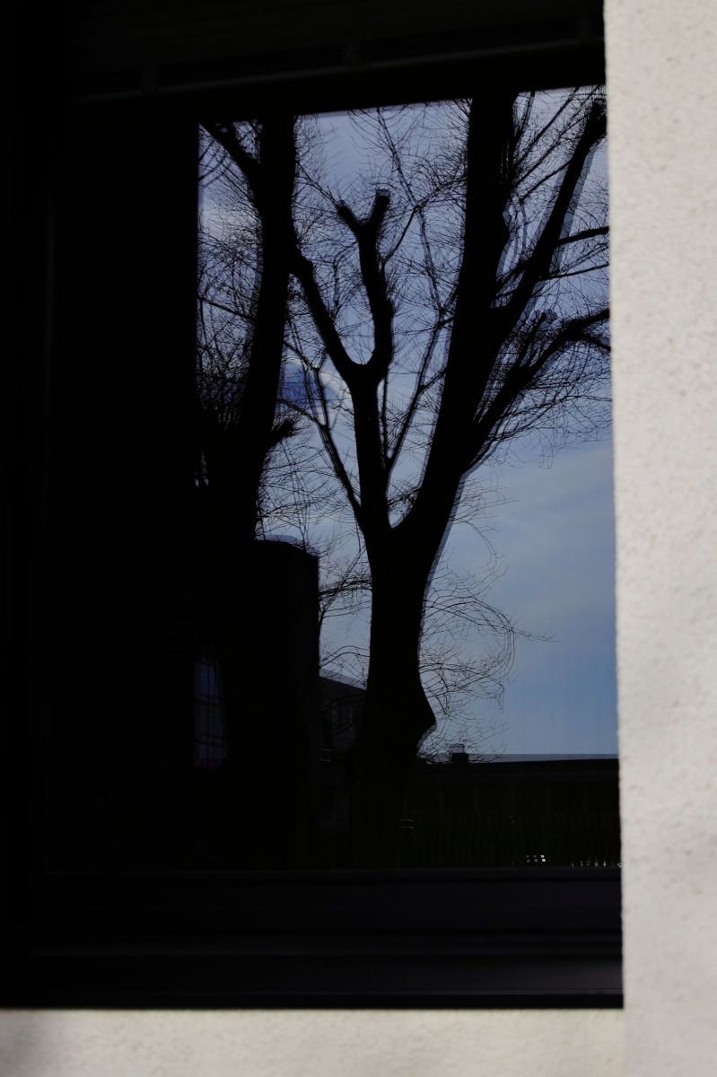 BLUE TRANSPARENCY | GANREF