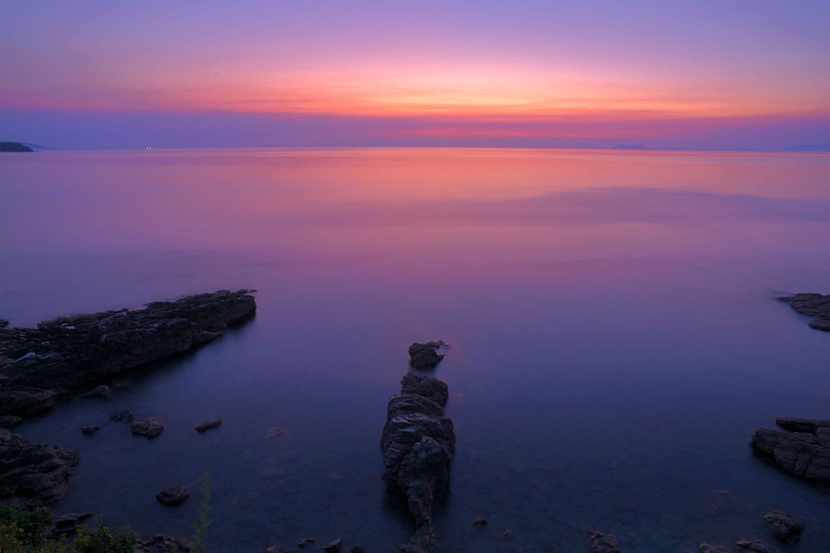 Shape of My Heart | GANREF