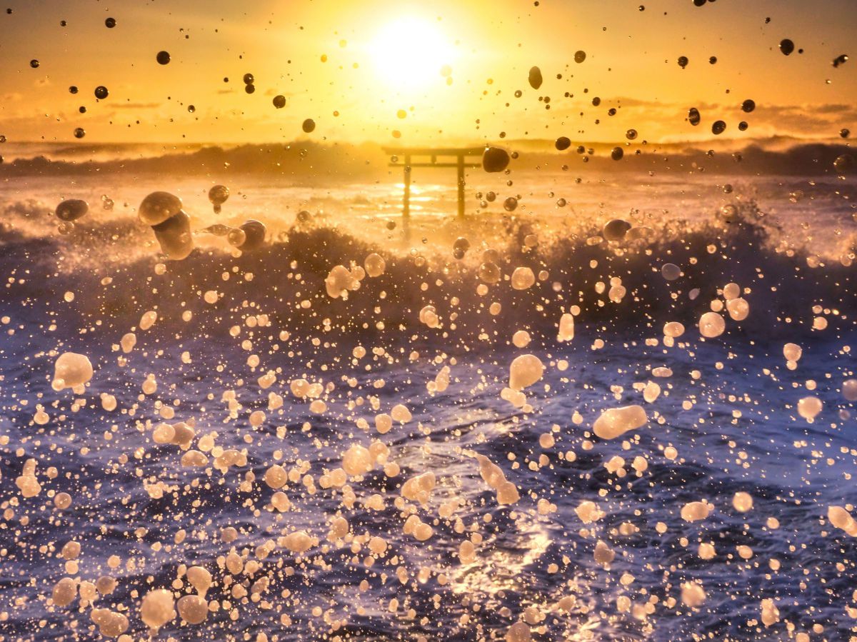 under the jewelry | GANREF