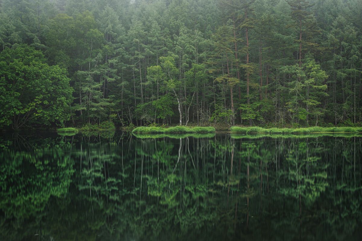 Symmetric lake surface.jpg | GANREF