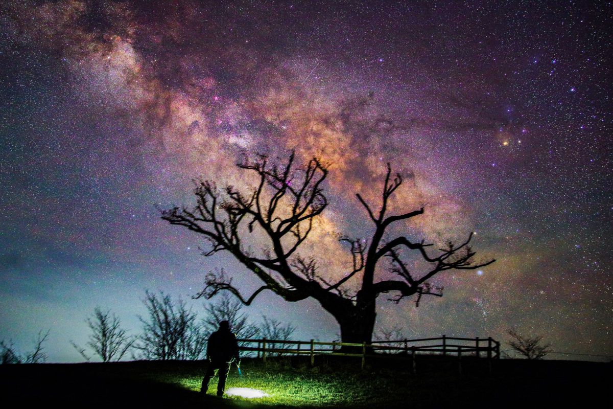 STAR WARS DAY | GANREF