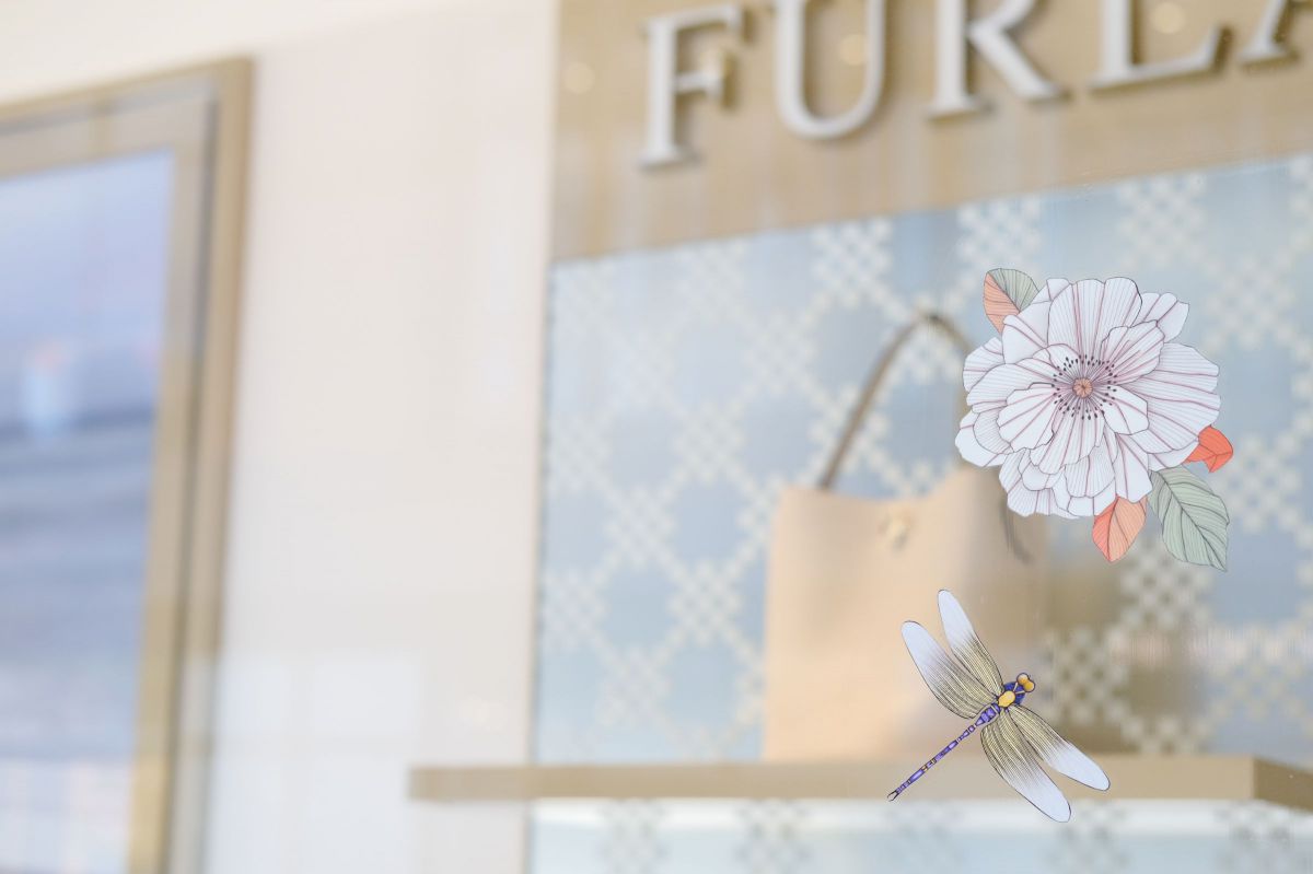 show window 1 | GANREF