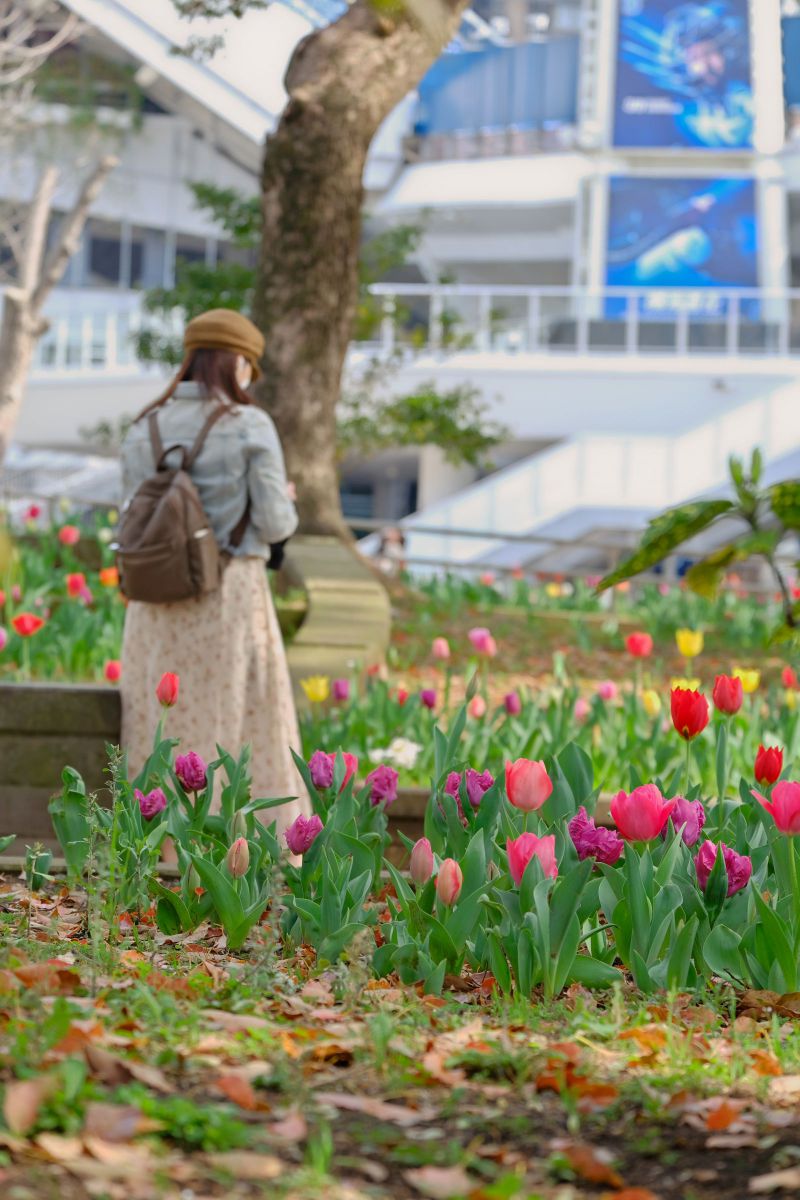 春の装い | GANREF