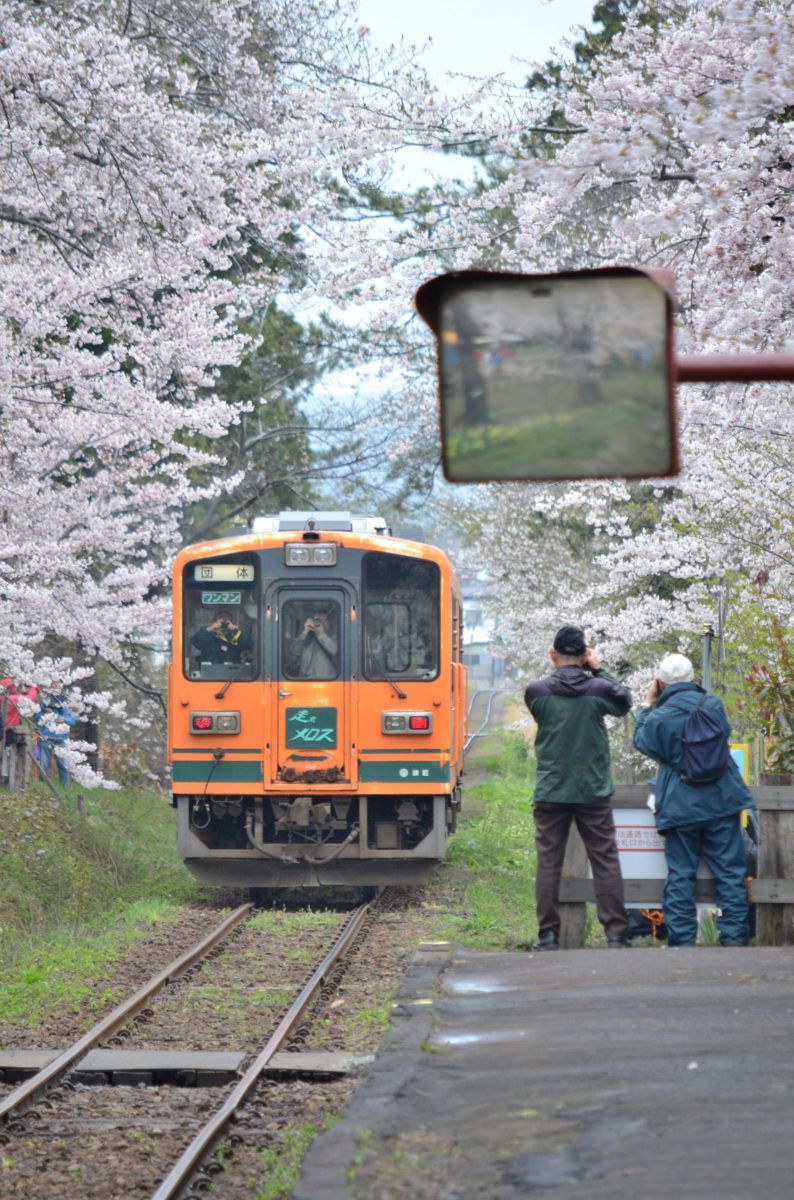 津軽の春 | GANREF