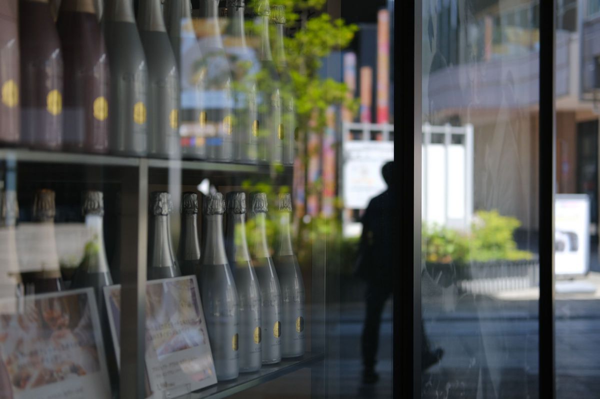 show window 3 | GANREF