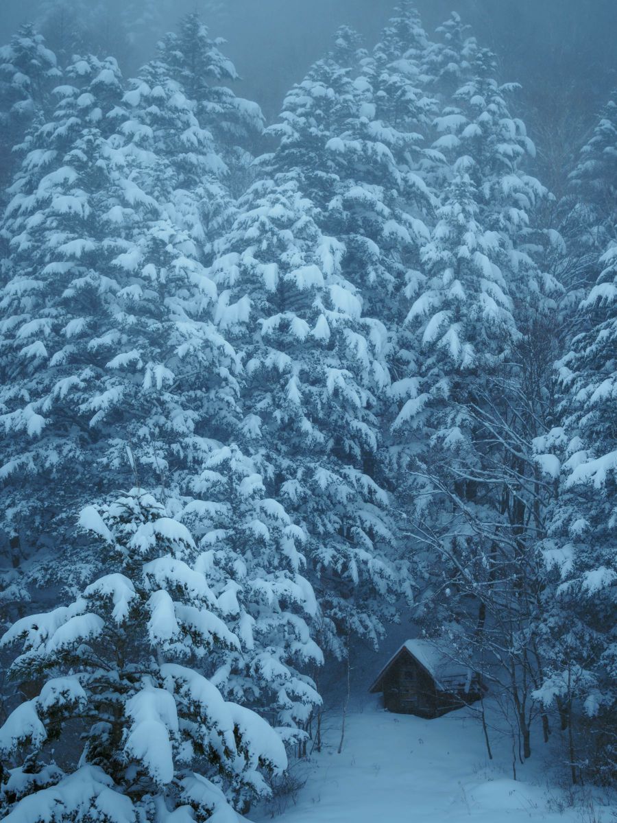 Silent Memory | GANREF