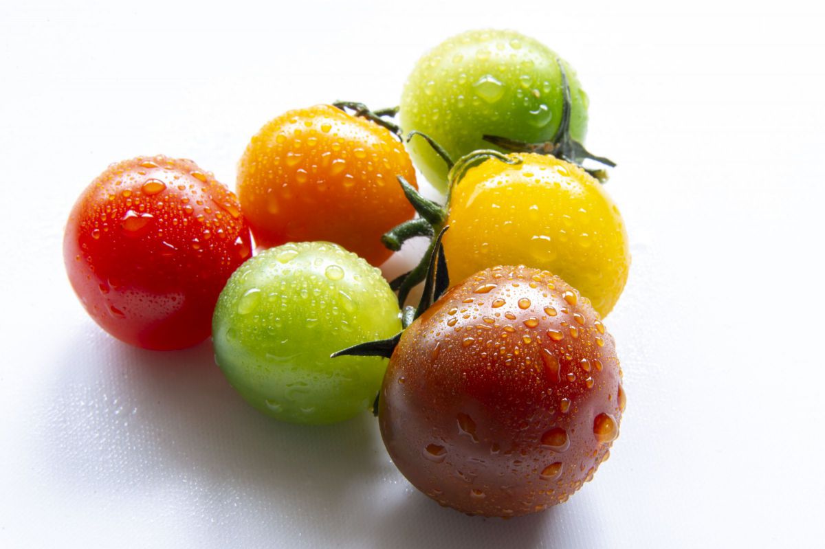 フレッシュ | GANREF