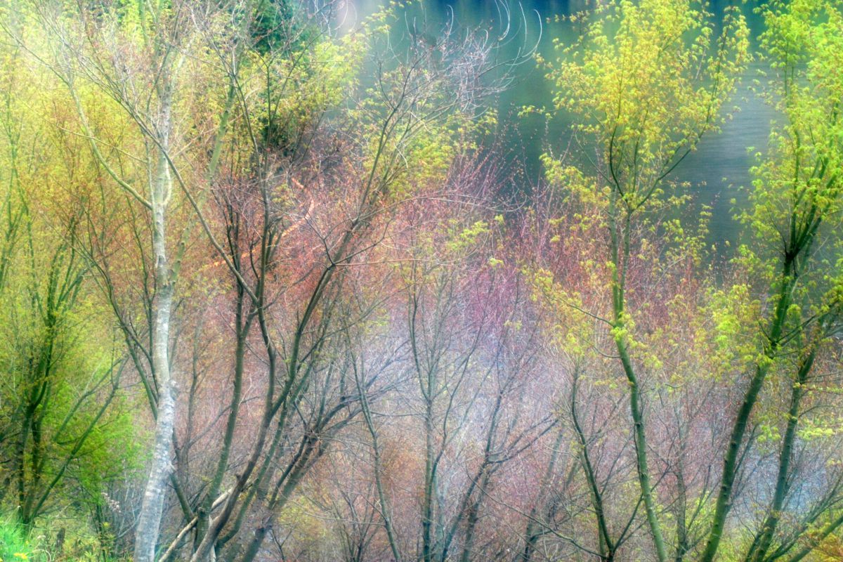 湖畔の春 | GANREF