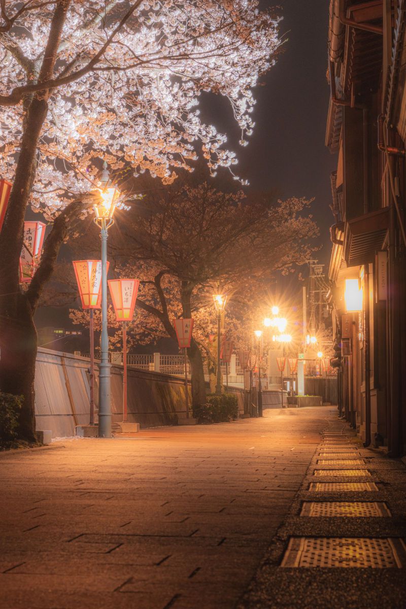 静寂の中で | GANREF