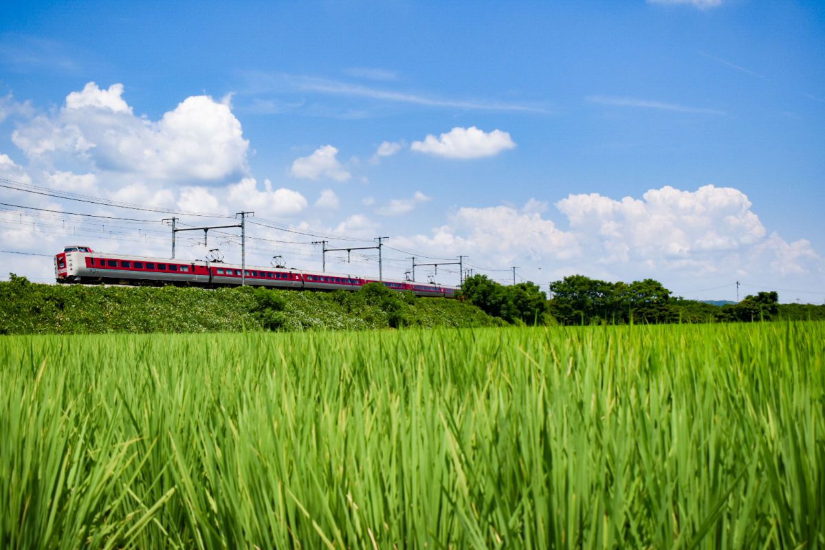 381系最後の夏 | GANREF