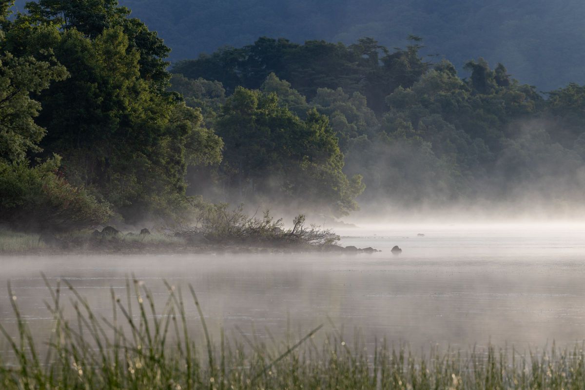 quiet breath | GANREF