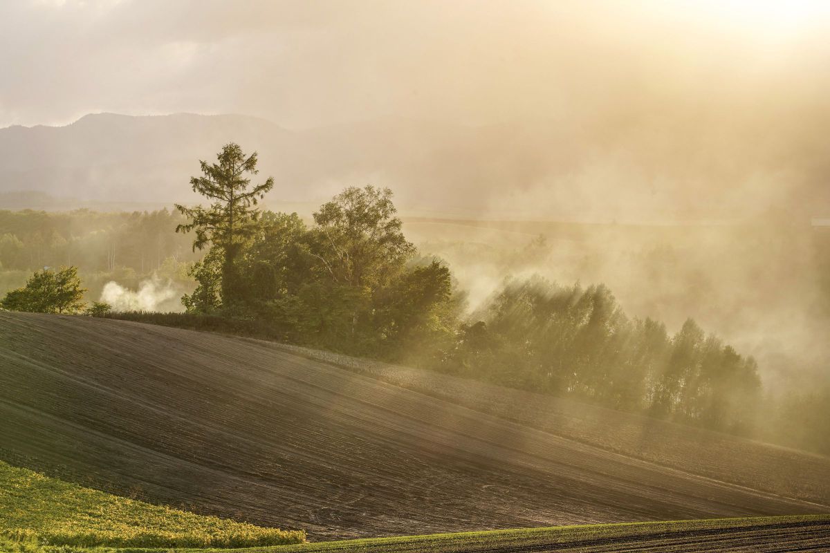美瑛: 雨上がる | GANREF