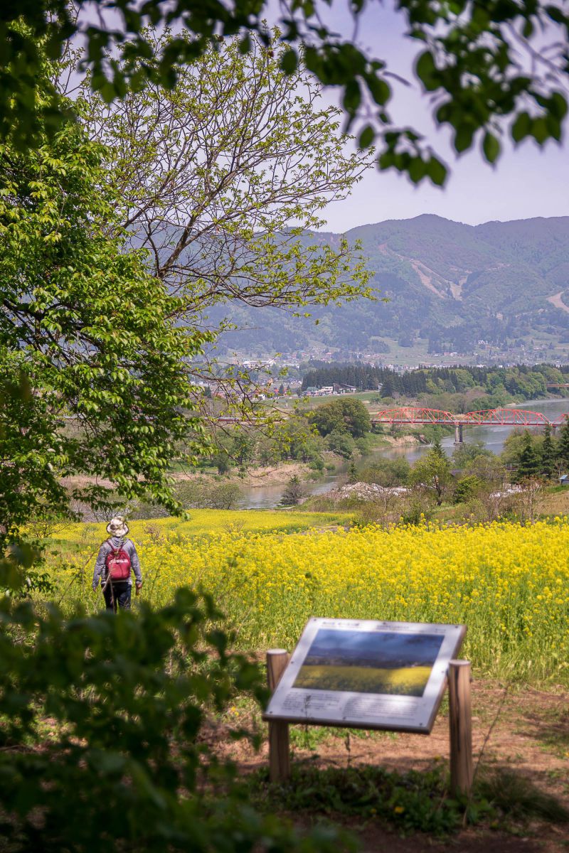 first of May | GANREF