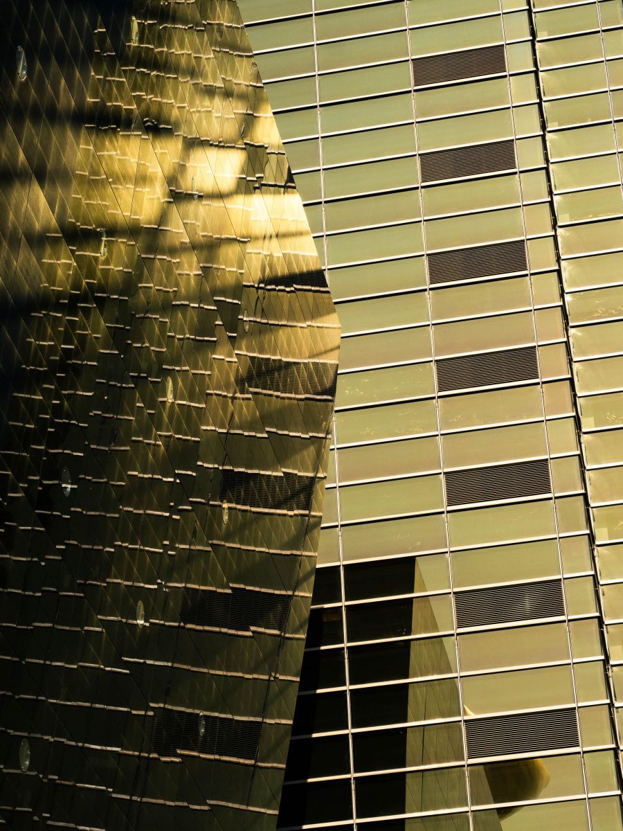 Golden reflection | GANREF