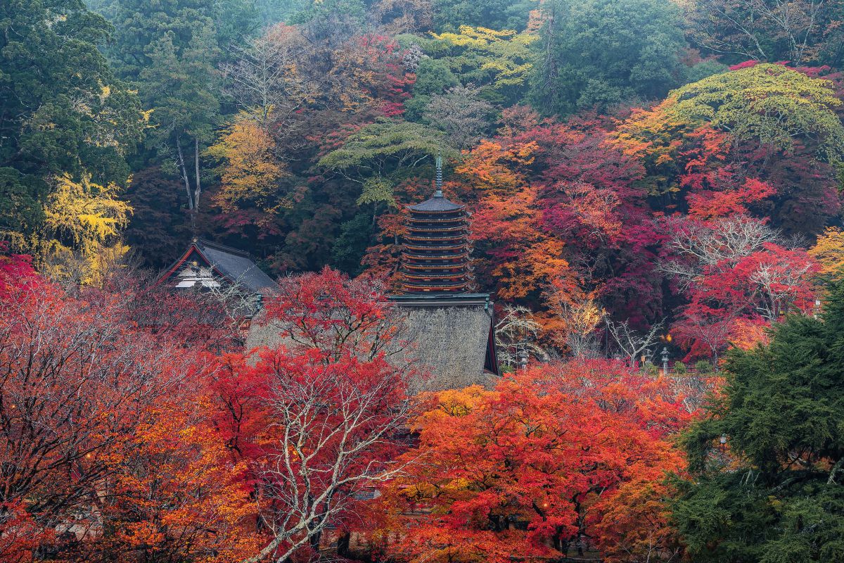 多武峰 談山神社 Ganref