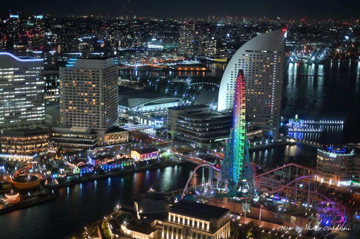 鳥になった気分で | GANREF