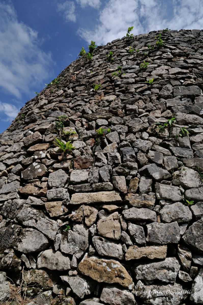 城壁を仰ぎ見て | GANREF