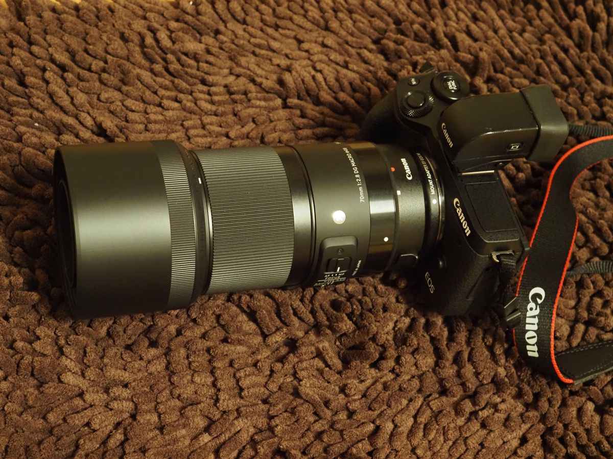 SIGMA 70mm F2.8 DG MACRO | Art 雑感 | GANREF SIGMA 70mm F2.8 DG MACRO | Art 雑感 | GANREF