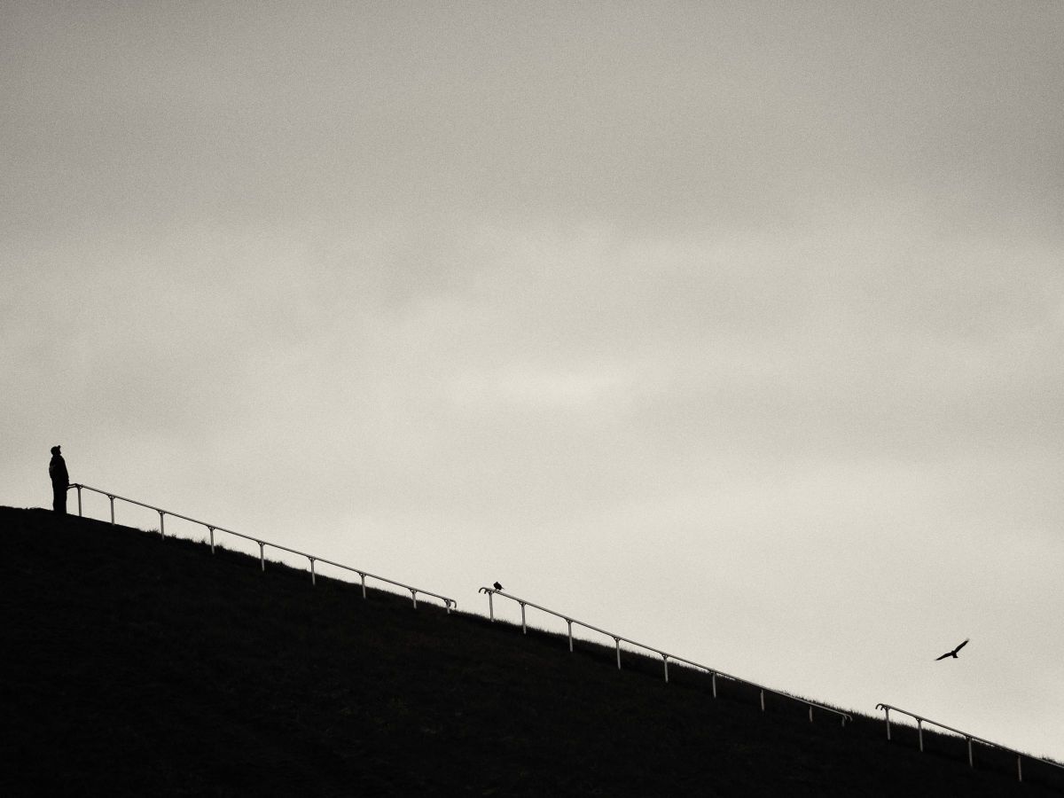 sentimental | GANREF