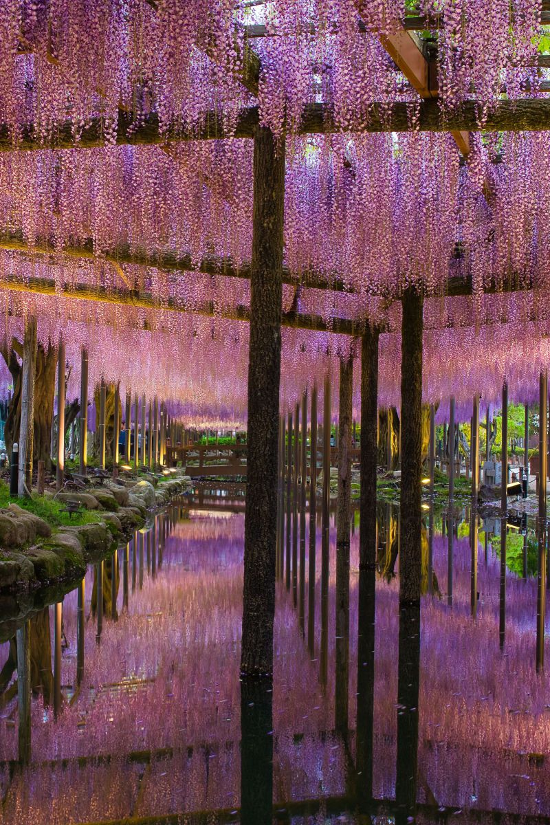 IMG_7981 (4).jpg | GANREF