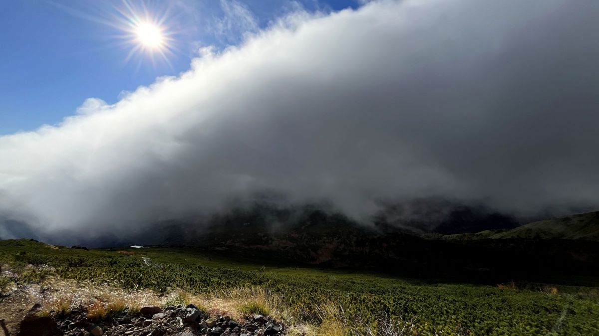 storm is coming | GANREF