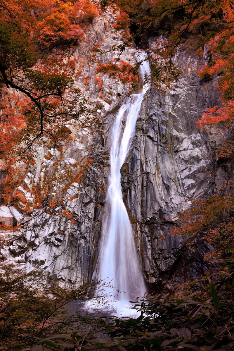 涼・・・fall | GANREF