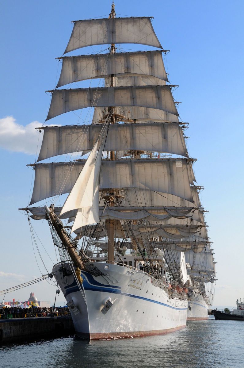 D300から落ちついたかな | GANREF