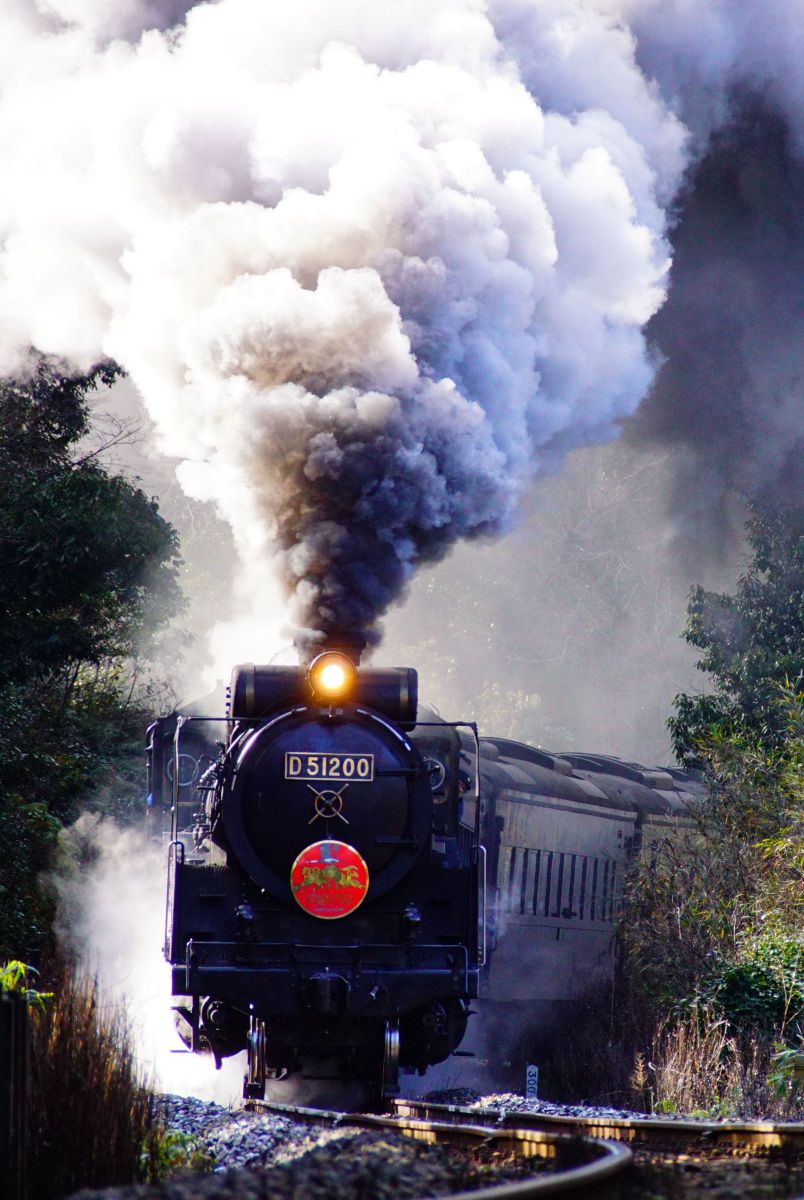 D51も復活を | GANREF