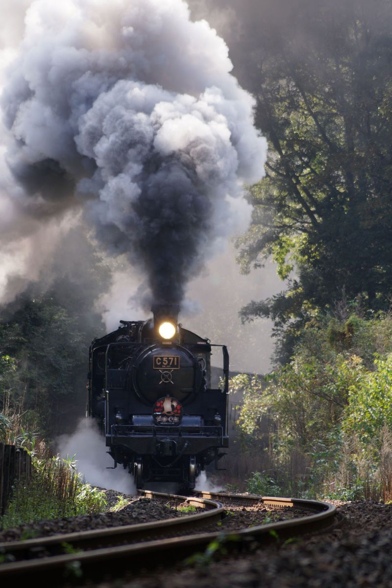 復活を望むC571 | GANREF