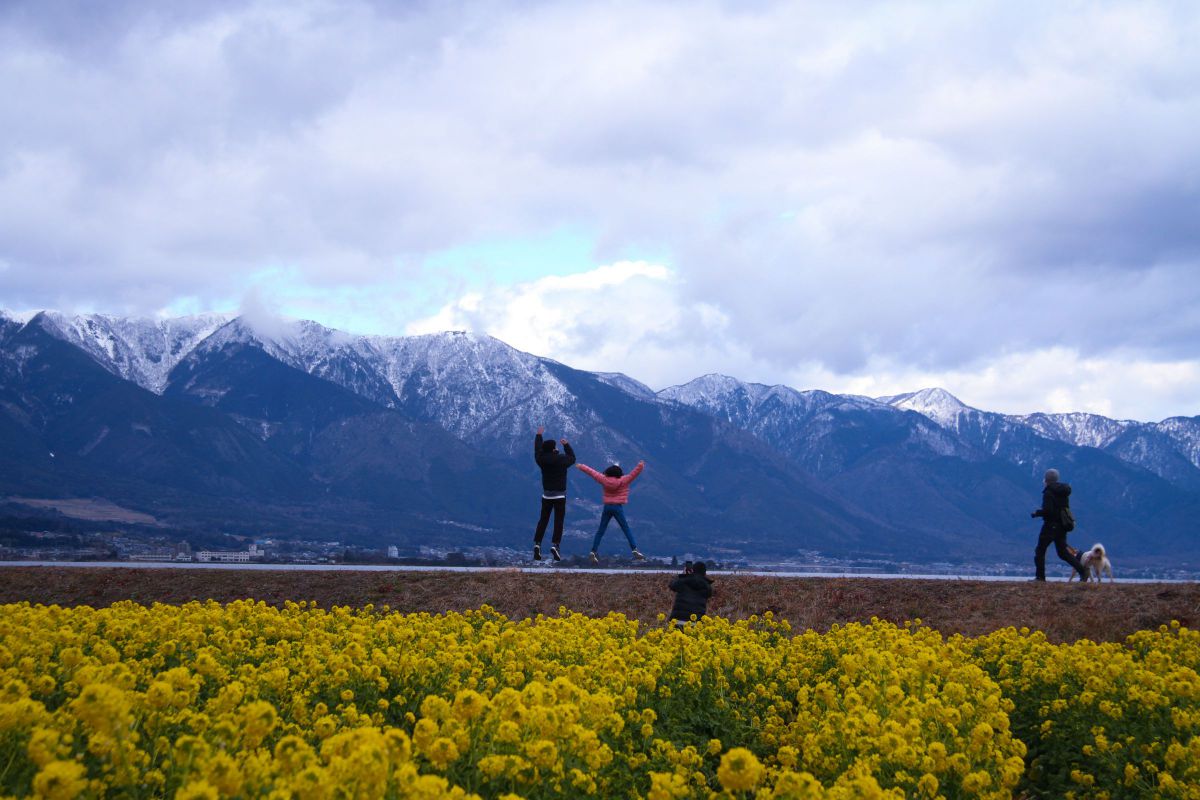 spring has come! | GANREF