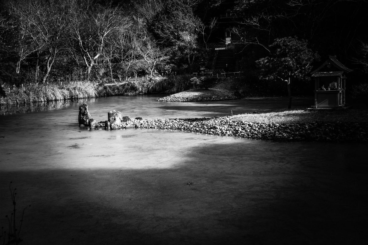 frozen pond | GANREF