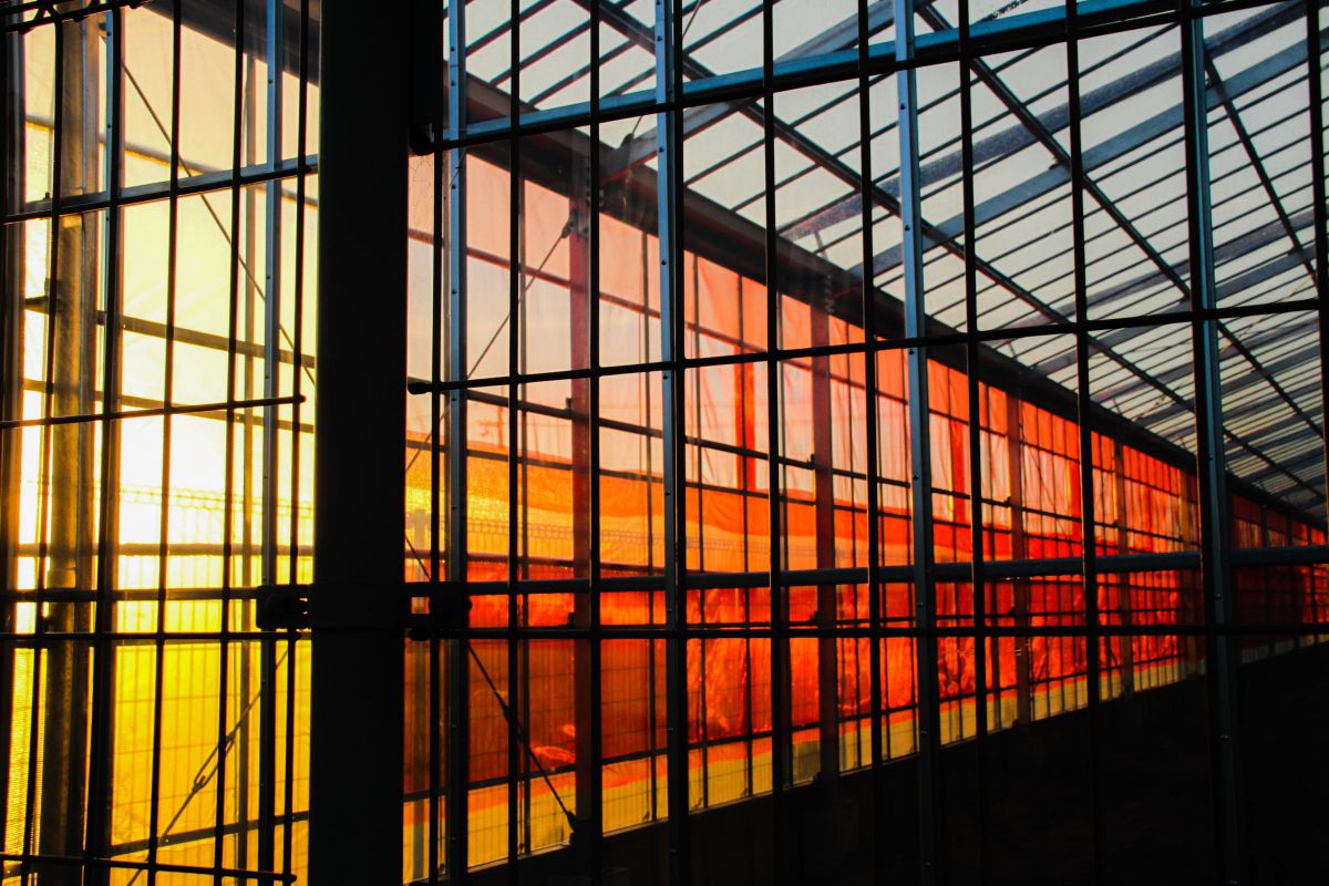 see-through | GANREF