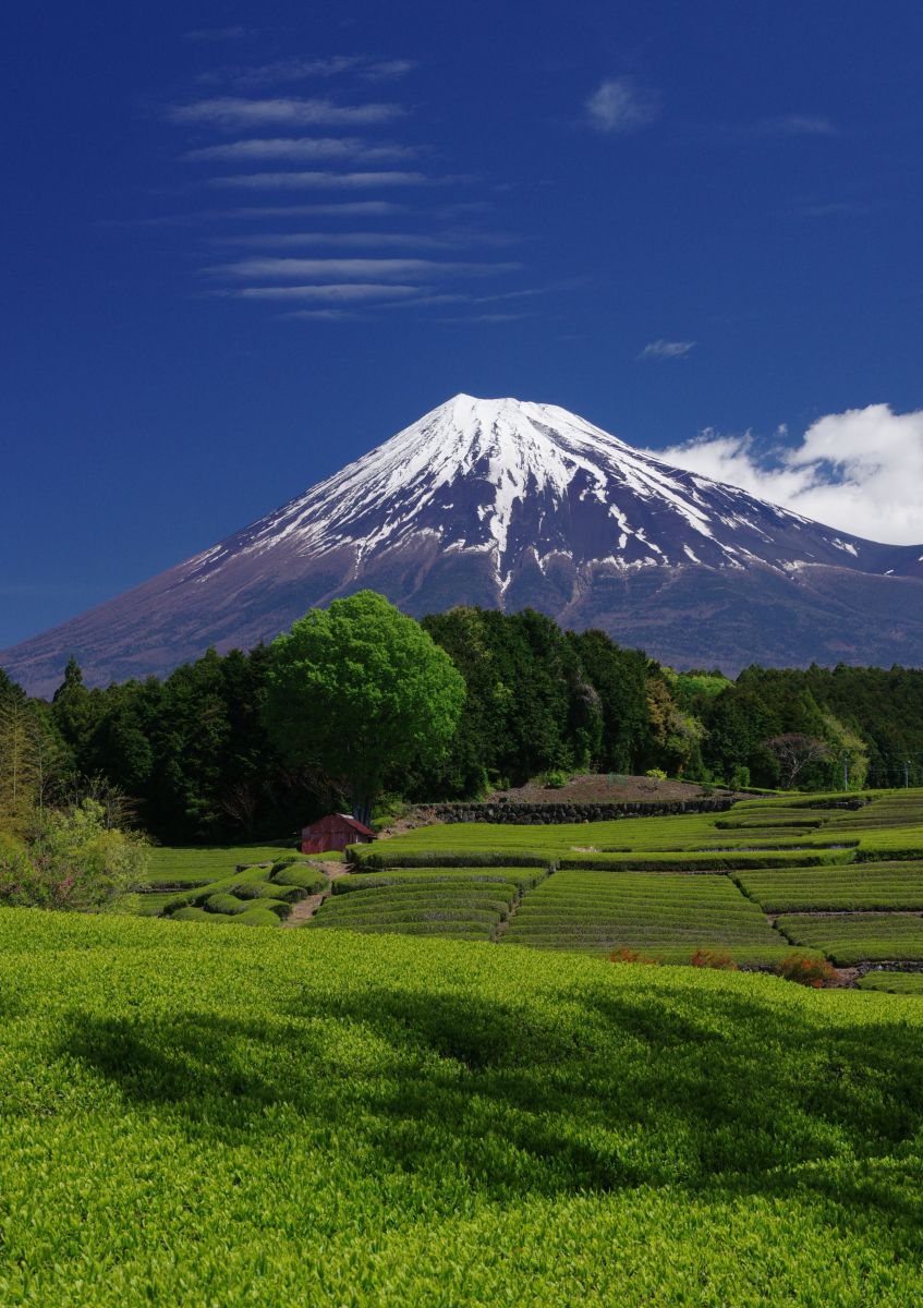 all those moments of Mt. Fuji | GANREF