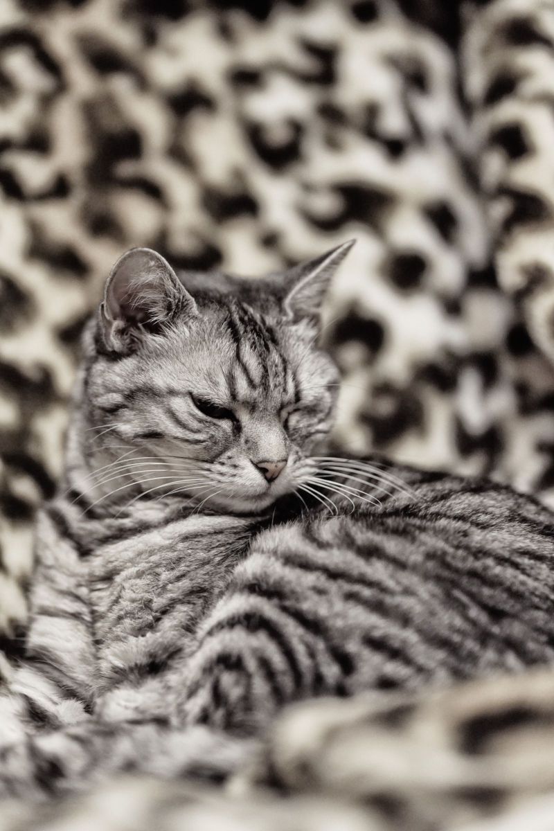 wink at me! | GANREF