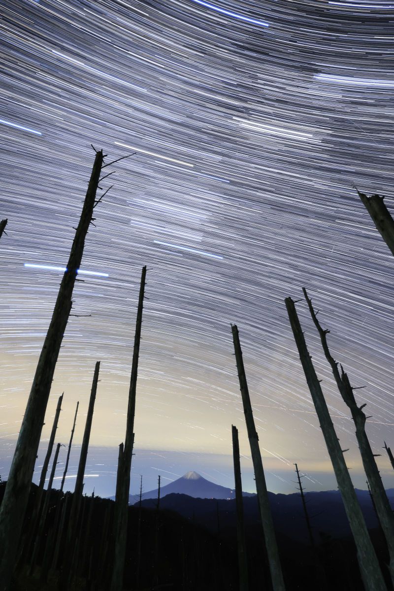 富士星夜 | GANREF