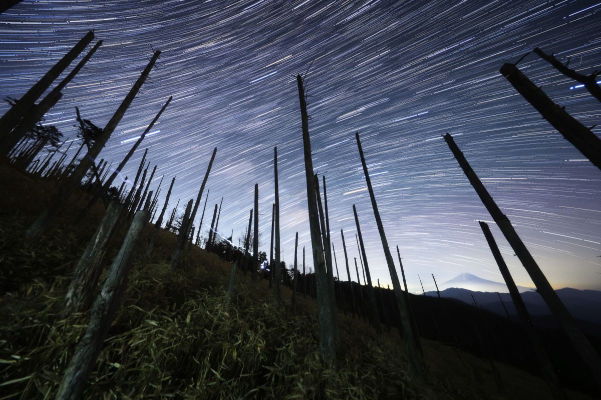 遠望富士 | GANREF