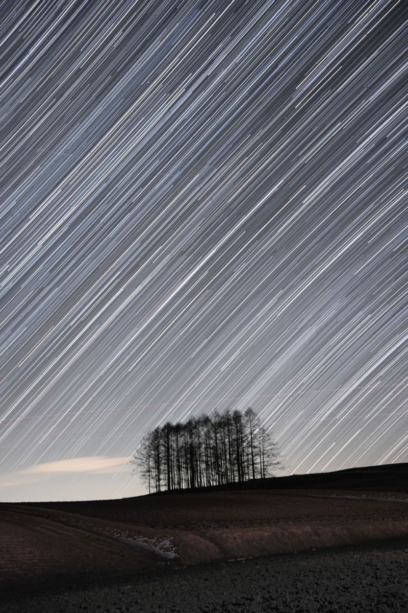 星の中で | GANREF