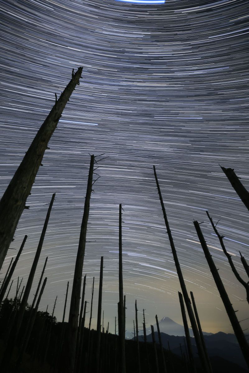 星夜に佇む | GANREF