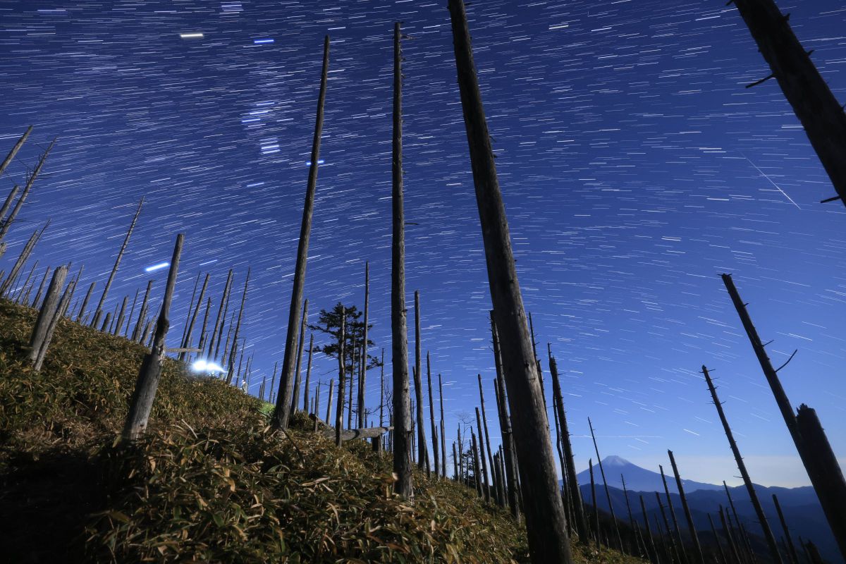 月下の星夜 | GANREF