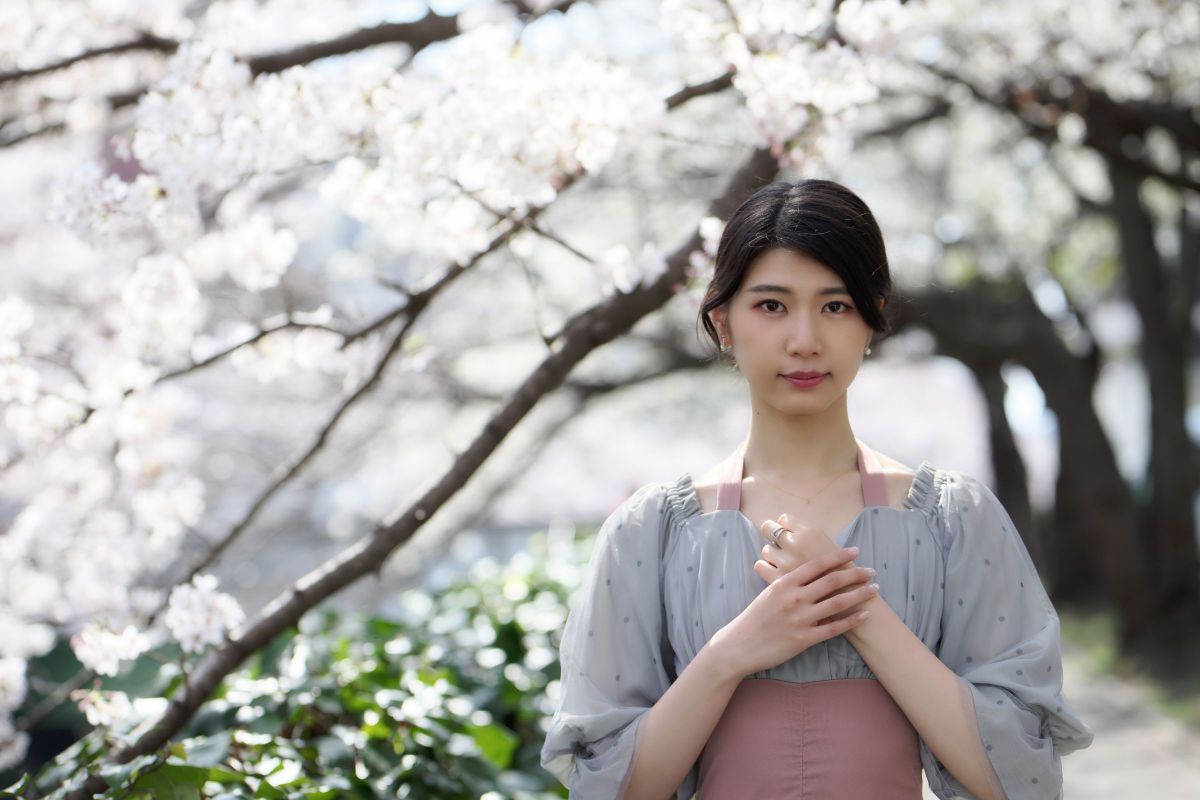 cherry blossom girl | GANREF